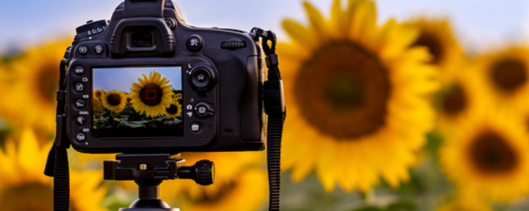 Sponsor spotlight: Turning your hobby into a business | MLTnews.com
